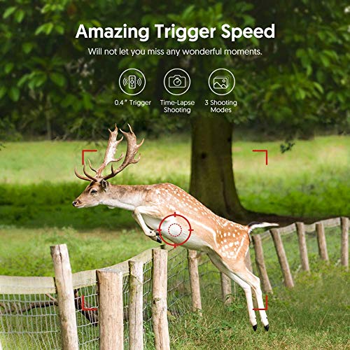 Victure HC100 Mini Wildkamera 16MP 1080P » Test 2020