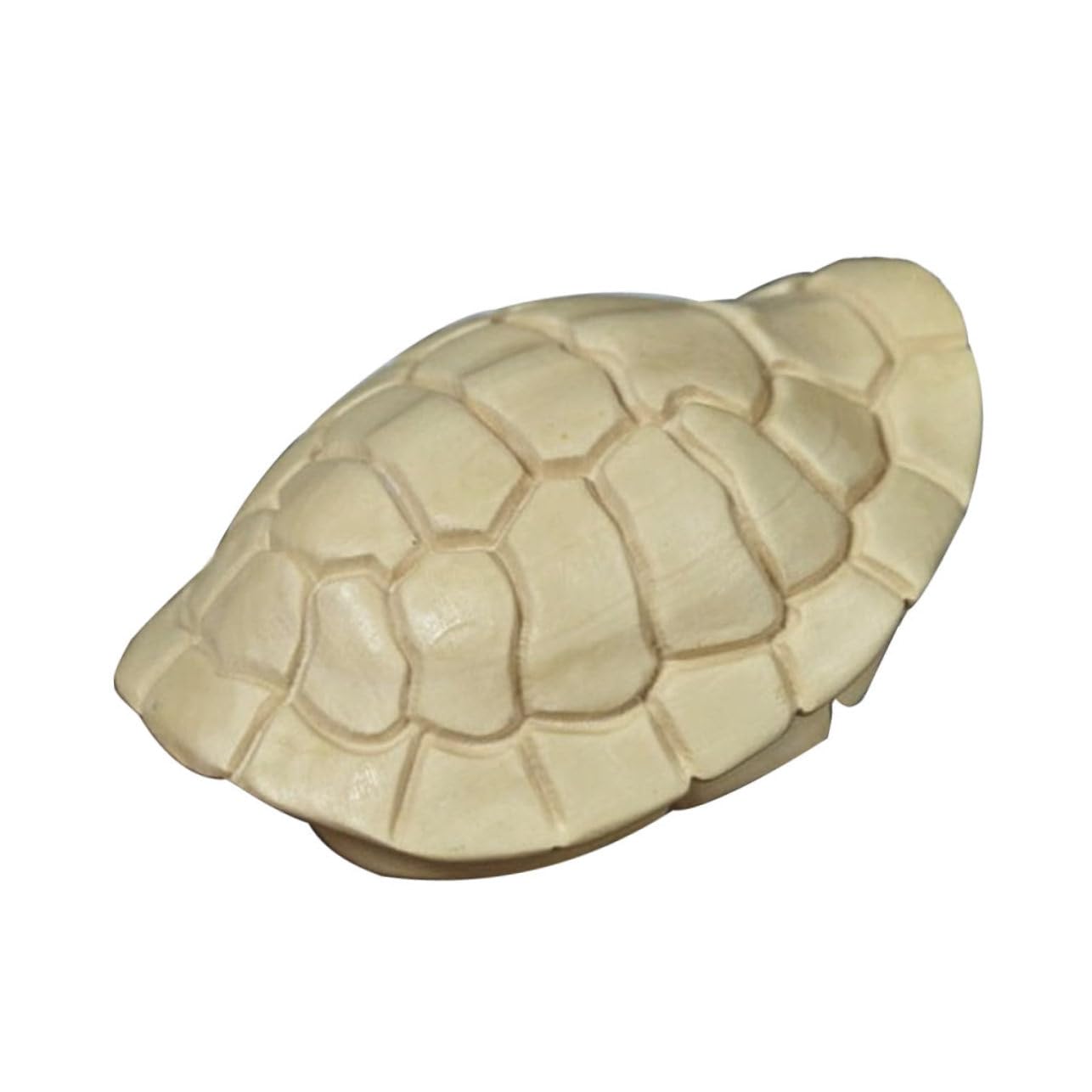 Wood Turtle Shell Home Is Where Your Shell Is: Learning About Turtles
