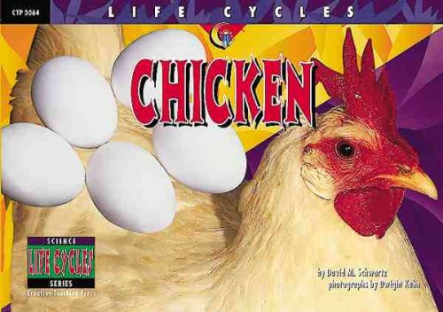 Chicken (Life Cycles): Schwartz, David M., Pascoe, Elaine, Lewis, Sue ...