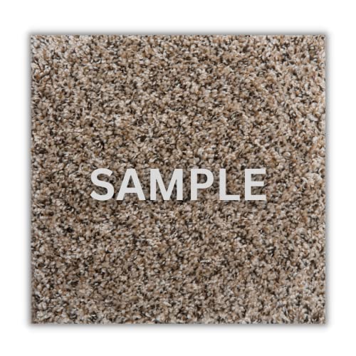 Top 10 Best Carpet Samples Free Squares : Reviews & Buying Guide - Katynel