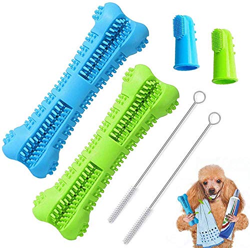 Best Dog Toothbrushes & How to Choose the Right One?