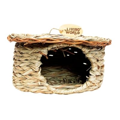 Amazon.co.uk: degu accessories