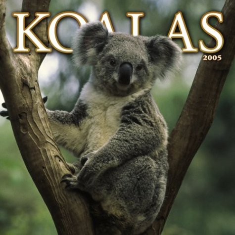 Koalas 2005 Wall Calendar: NOT A BOOK: 9780763173609: Amazon.com: Books