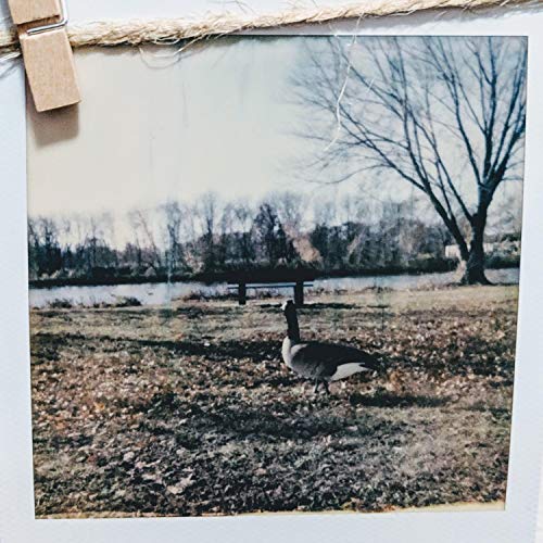 Amazon.co.jp: Book of Water : Weeping Witch: デジタルミュージック