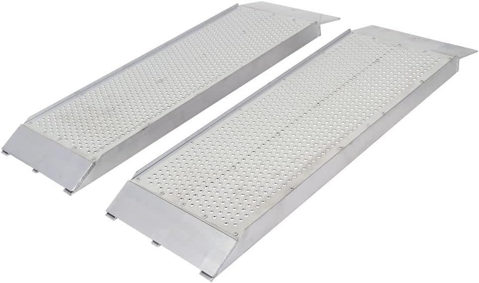 Amazon.com: Guardian S-3612-1500-P Dual Runner Shed Ramps with Punch ...