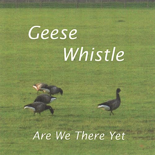 Amazon.com: Geese Whistle: 5060120090010: Are We There Yet: Books