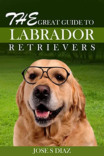 The Great Guide to Labrador Retrievers: From Puppy to Adult Age ...