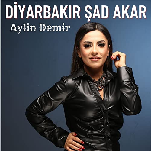 Amazon.co.jp: Diyarbakır Şad Akar : Aylin Demir: デジタルミュージック