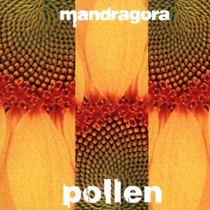 Pollen - Amazon.com Music