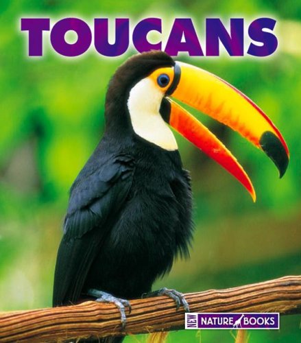 Toucan Books for Children | Rainforest Unit Study