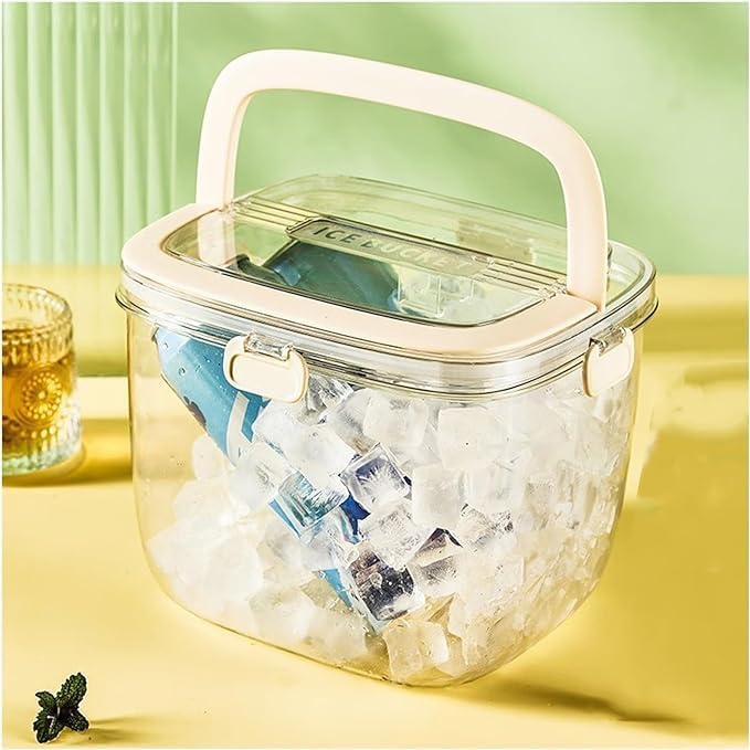 Whixant Plastic Chiller Ice Box, Travel Outdoor & Picnic usable Ice ...