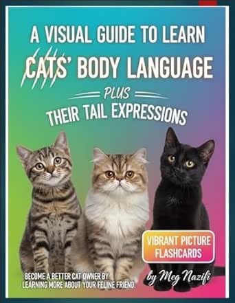 Cats’ Body Language Flashcards: Understand Your Cat’s Emotions Easily ...