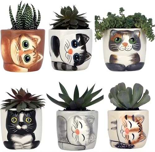 Amazon.com: 4 Pieces Cute Cartoon Ceramic Flower Pots with Drain Hole ...