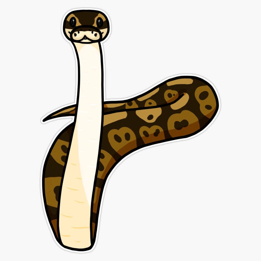 Amazon.com - Ball Python Scoping Bumper Sticker Vinyl Decal 5"