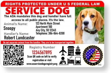 How To Get A Service Dog License