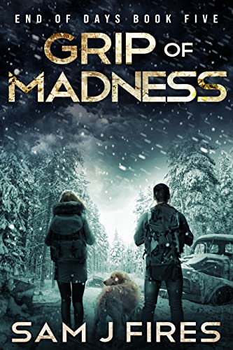 Amazon.com: Grip of Madness: A Post-Apocalyptic EMP Survival Thriller ...