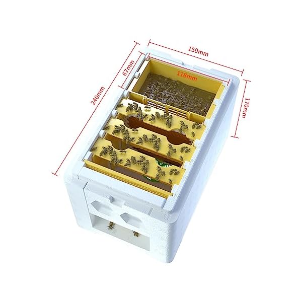 Nuc Box Queen Mating Box Mini Foam Queen Breeding Box Essential ...