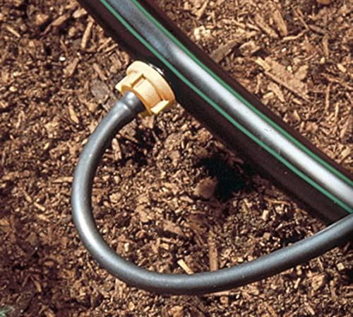 Snapklik.com : Rain Bird SW50/05PS Drip Irrigation Spot Watering ...