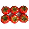 Amazon.com: J-Rijzen 6pcs Fake Tomato Artificial Vegetables Artificial ...