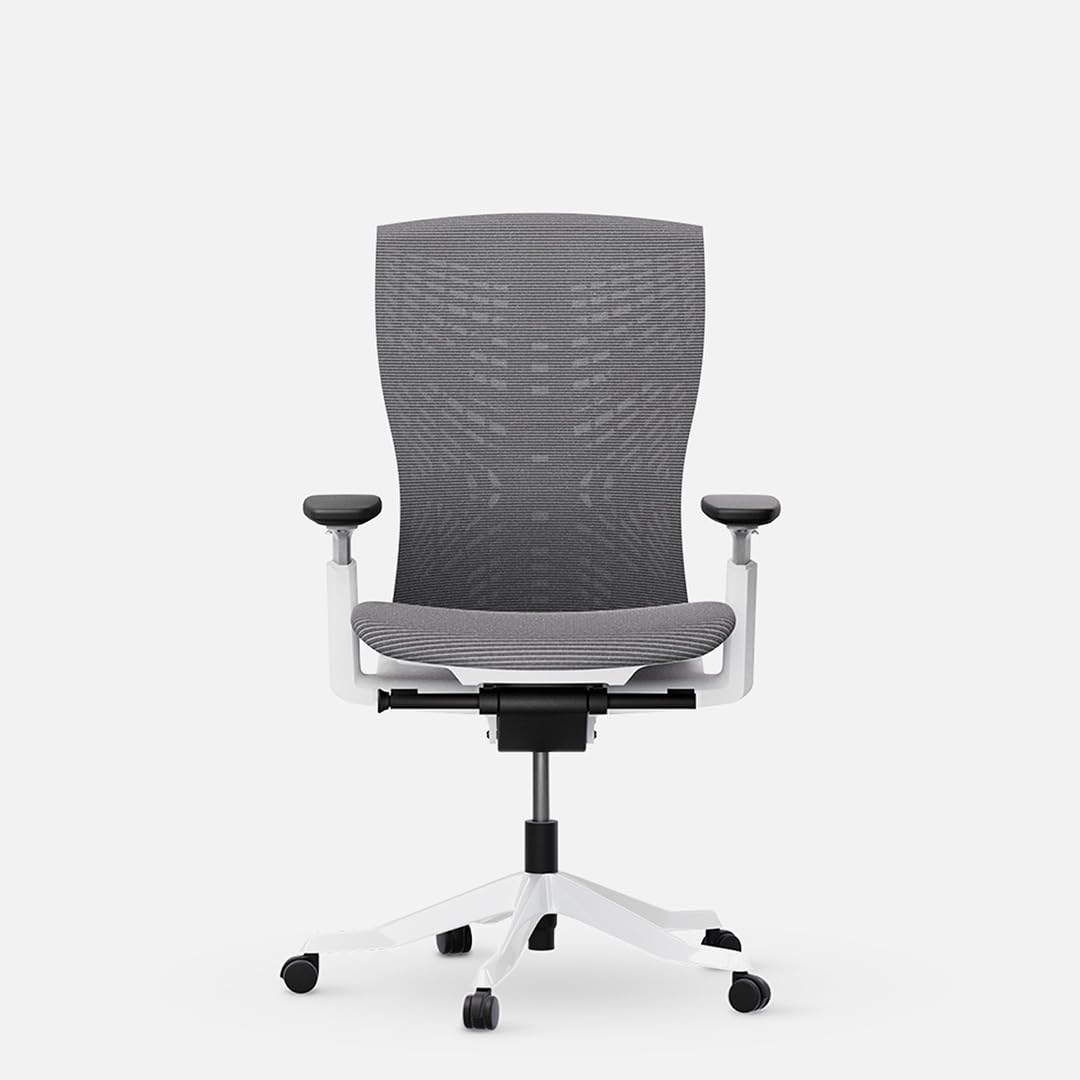Autonomous ErgoChair Ultra 2 Ergonomic Office Chair Mesh Gray ...