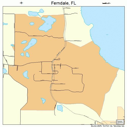 Amazon.com : Large Street & Road Map of Ferndale, Florida FL - Printed ...