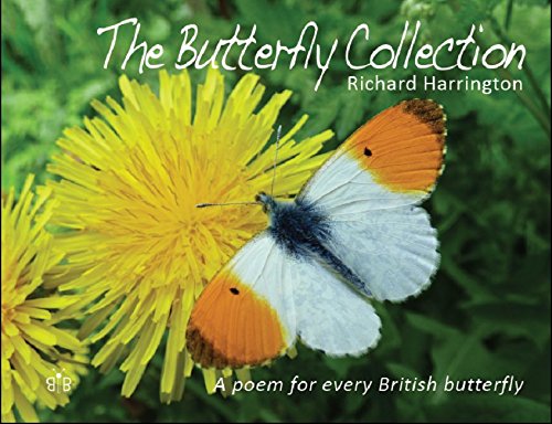 The Butterfly Collection : Harrington, Richard: Amazon.com.be: Livres