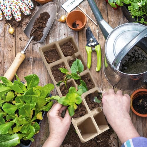 YEIHHEIY 200 pcs Seed Starter Pots Kits Include 50pcs 4 Inch Peat Pots ...