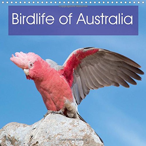 Birdlife of Australia 2016: A beautiful calendar that showcases some of ...