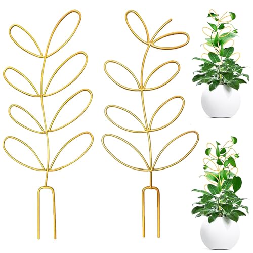 Rankhilfe Zimmerpflanze – Die 15 besten Produkte im Vergleich ...