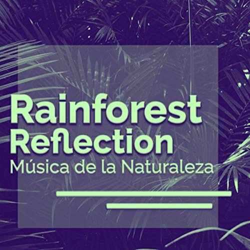 Rainforest Reflection by Música de la Naturaleza on Prime Music