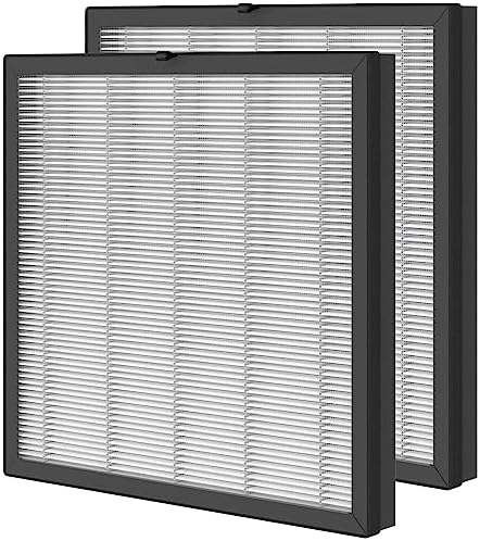 Amazon.com: XBWW 2 Packs Replacement Air Filter Compatible with AMEIFU ...