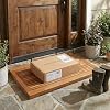 Amazon.com: Bare Decor Dasha Spa Shower or Door Mat, 31.5 by 17.75-Inch ...
