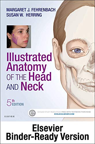 Illustrated Anatomy of the Head and Neck - Binder Ready: 9780323675529 ...