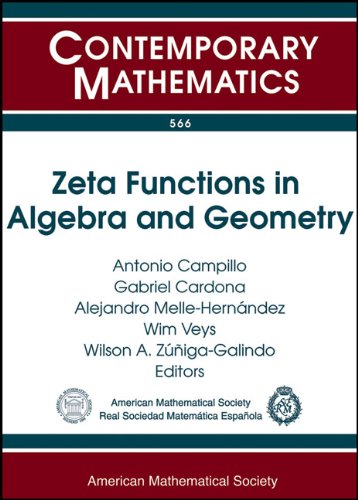 Amazon.com: Zeta Functions in Algebra and Geometry: 9780821869000 ...