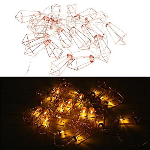 SRS 20 LED 2m Fairy Lights Rose Gold Color Light String Light 20 Metal ...