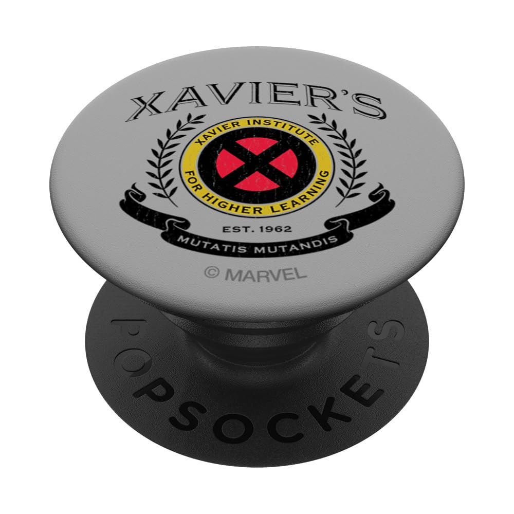 Amazon.com: Marvel X-Men Xavier Institute for Higher Learning ...