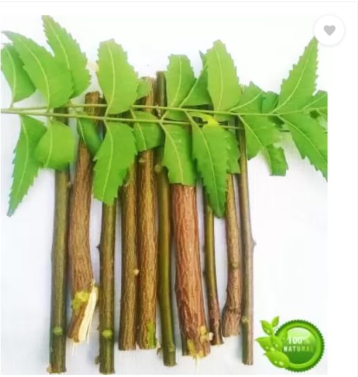 Amazon.com : Ayurvedic Natural Organic Neem Datun, Manual Toothbrush ...