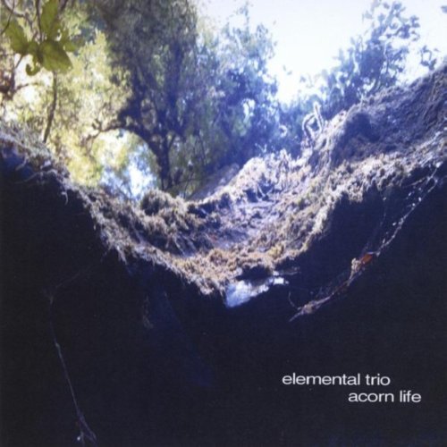Amazon.com: Acorn Life : Elemental Trio: Digital Music