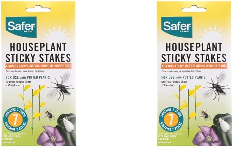 Amazon.com : Safer Brand 5026 Houseplant Sticky Stake Insect Traps for ...