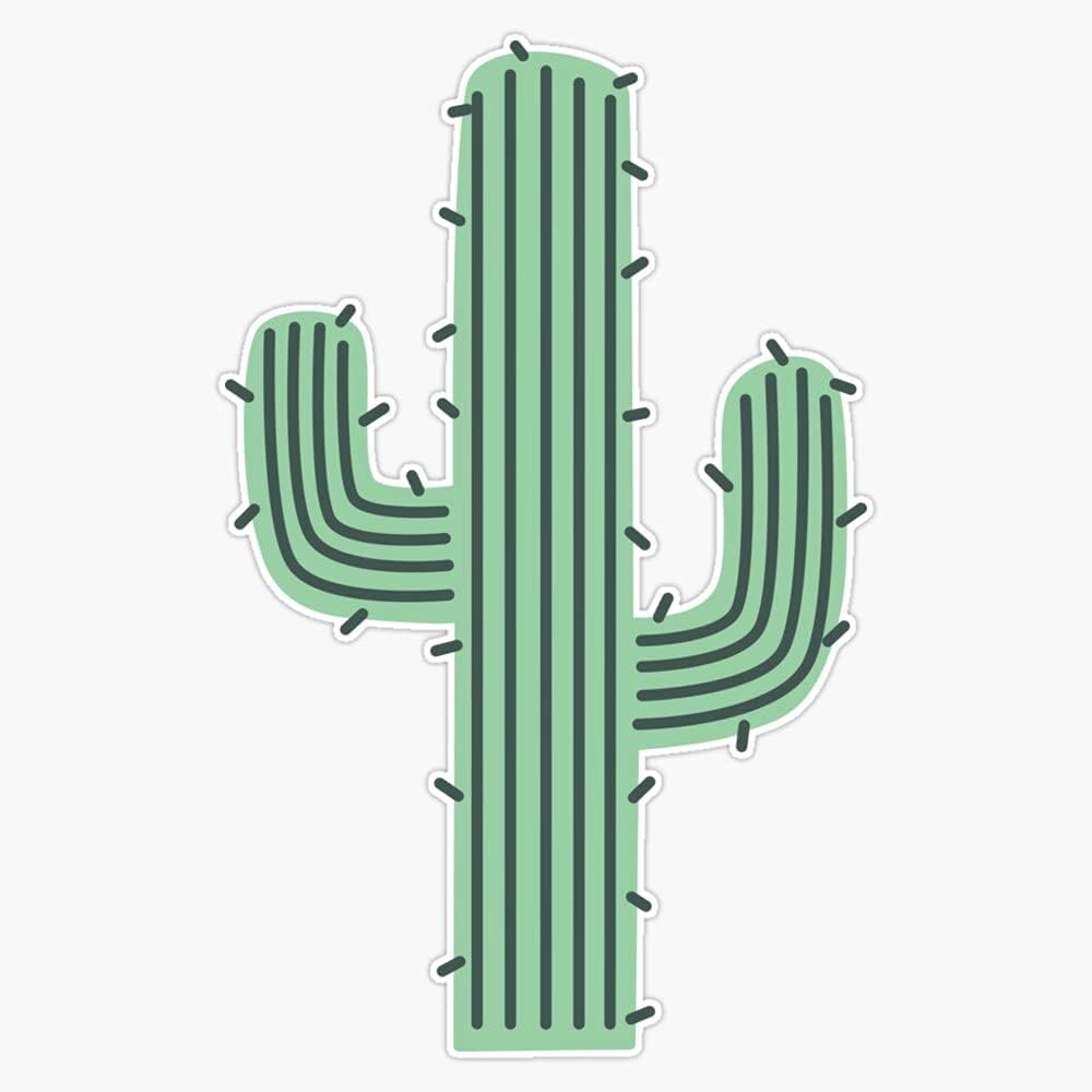 Amazon.com: Watercolor Cute Blooming Cactus - 3" Vinyl Sticker - for ...