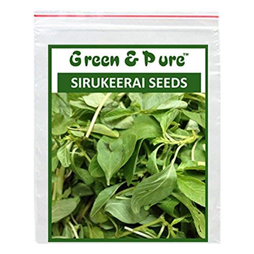 Green and Pure - High Yield Organic Vegetable Seeds - Siru Keerai for ...