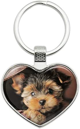 Amazon.com: GRAPHICS & MORE Yorkie Yorkshire Terrier Puppy Dog in ...