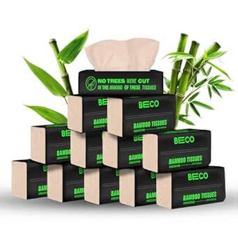 Beco Bamboo Facial Tissue Paper Box-Soft Pack | 100 pulls x 12 packs ...