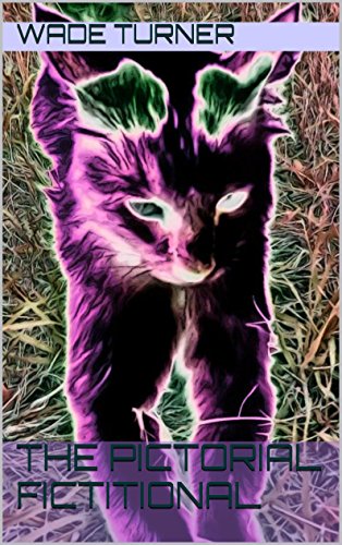 The Pictorial Fictitional eBook : Turner, Wade: Amazon.co.uk: Kindle Store