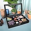 Amazon.com: Mooncraftlogy Adjustable Rock Display Case, Crystal ...