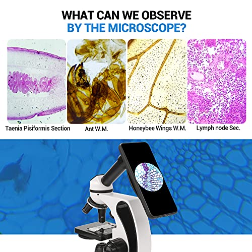 Snapklik.com : Microscopes 40X-2000X Dual LED Illumination Lab Compound ...