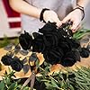 Amazon.com: Whaline 12 Pack Artificial Silk Roses Black Rose Flowers ...