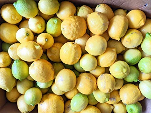Amazon.com: Freshly Picked Unwaxed Lemons 5lb Box - Naturally Grown in ...