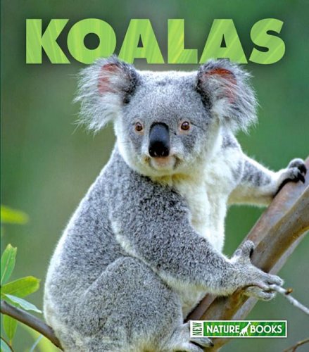 Koalas (New Naturebooks, 1264): Lee, Sandra: 9781592966417: Amazon.com ...