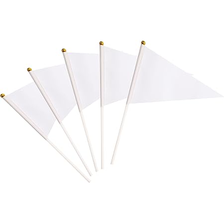 Amazon.com : 25 Pack White Pennant Flags Small Mini Hand Held Solid ...